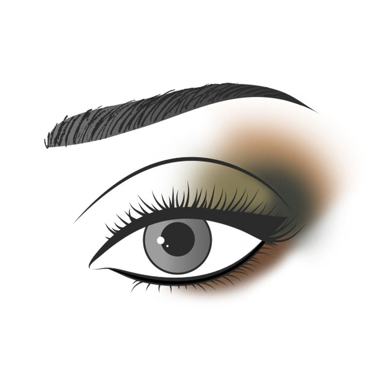 Safari Tour - Outer V Eyeshadow Tutorial – Makeup Geek
